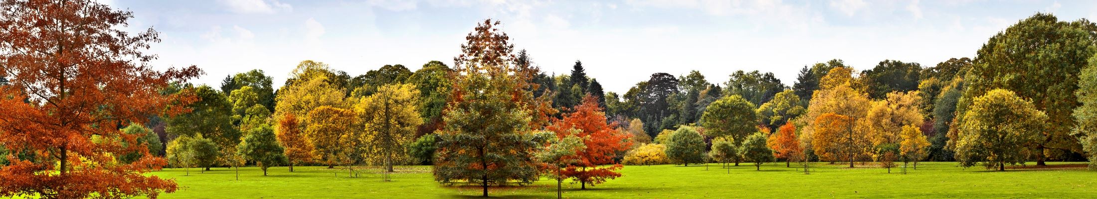 Police Logs | Lunenburg, MA
